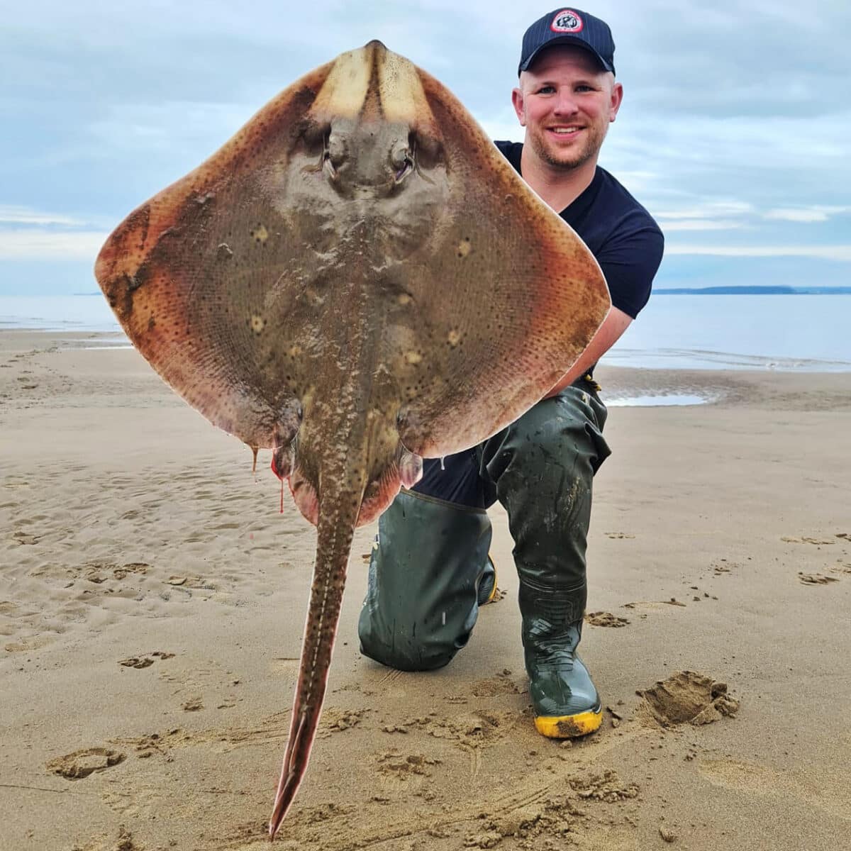 The Pulley Rig - The Easiest And Most Effective For Big Fish - Veals ...