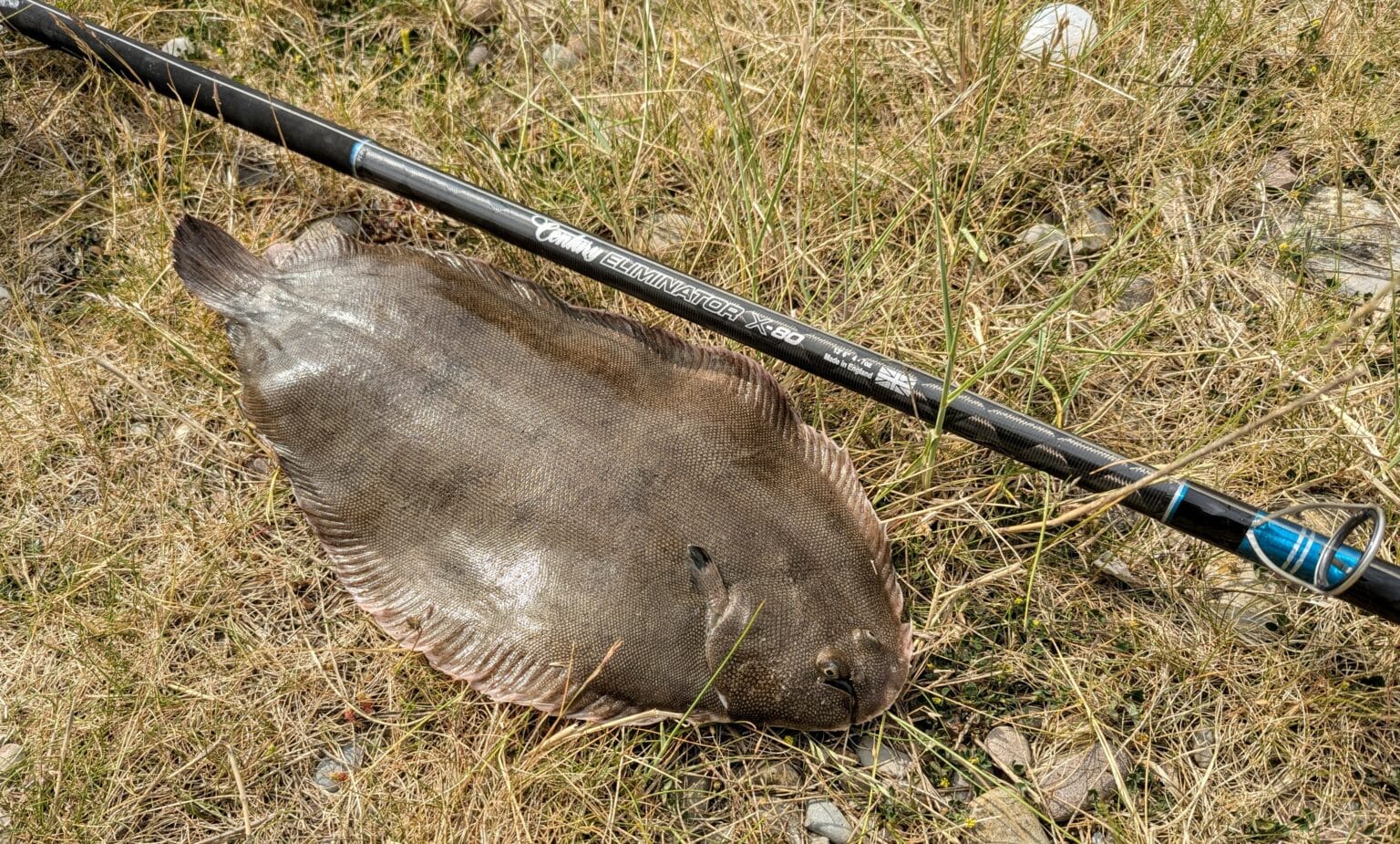 Ray Fishing- All You Need To Know! - Veals Mail Order