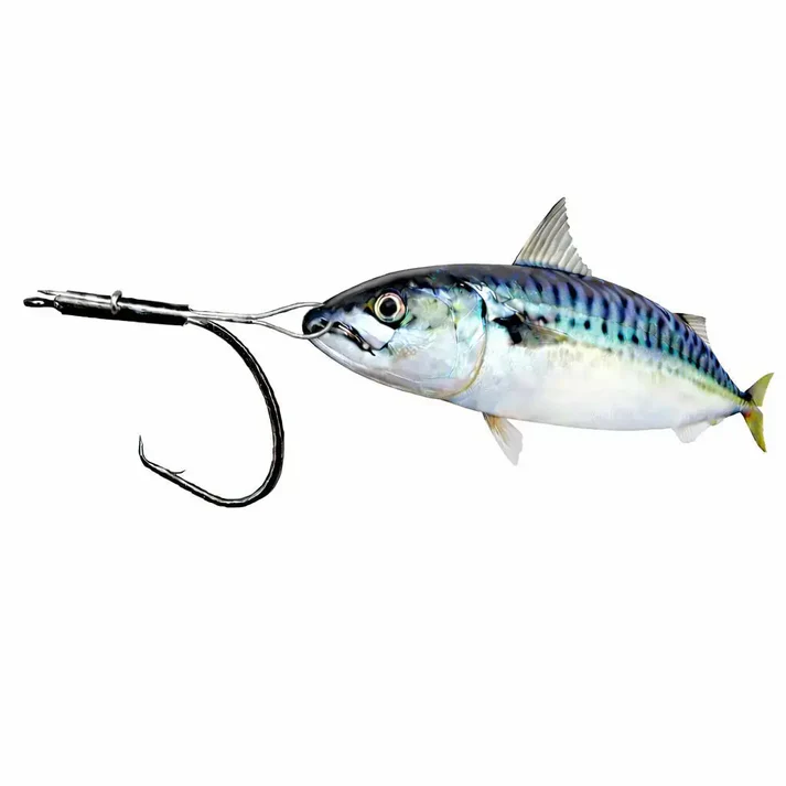 Cox and Rawle Bridle Live Bait Clips - Veals Mail Order